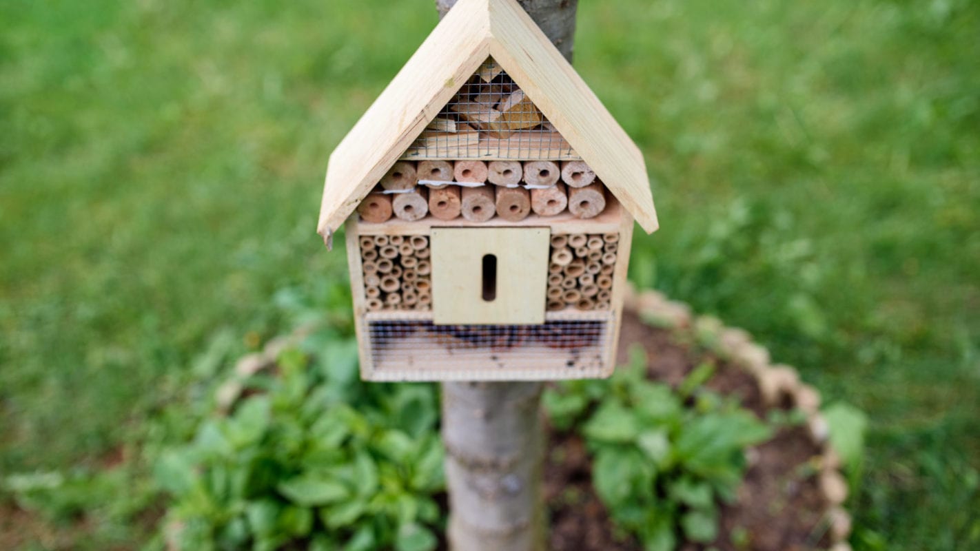Die zwei besten DIY Ideen zum selber Basteln für Ihren Garten!
