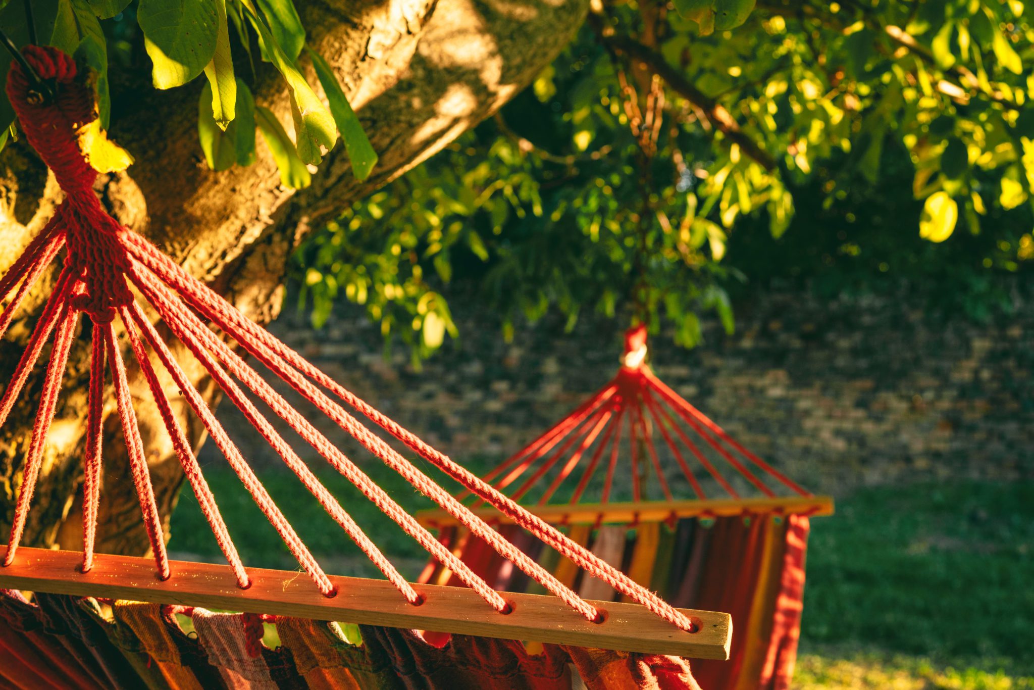 Für entspannte Stunden: Die Hängematte im Garten richtig pflegen